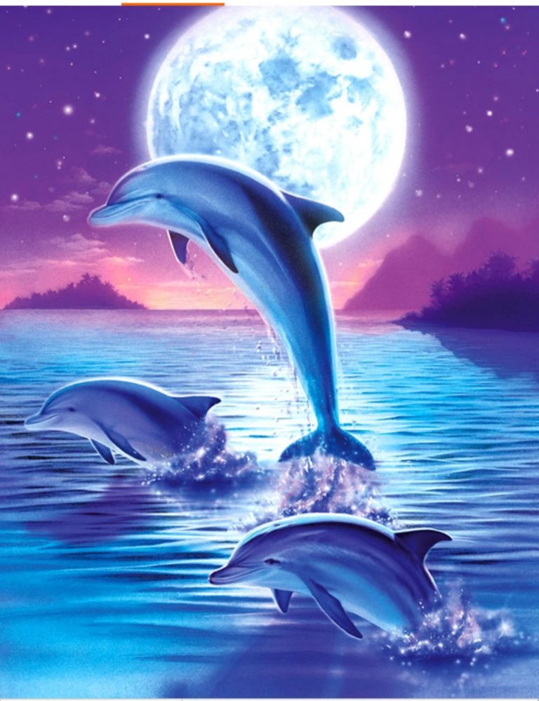 Dolphins (17) – Glitter Envy